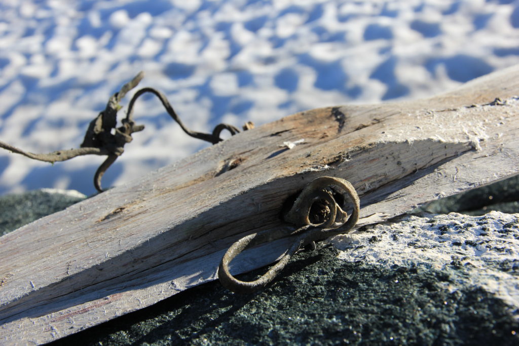 Finds - Secrets of the Ice