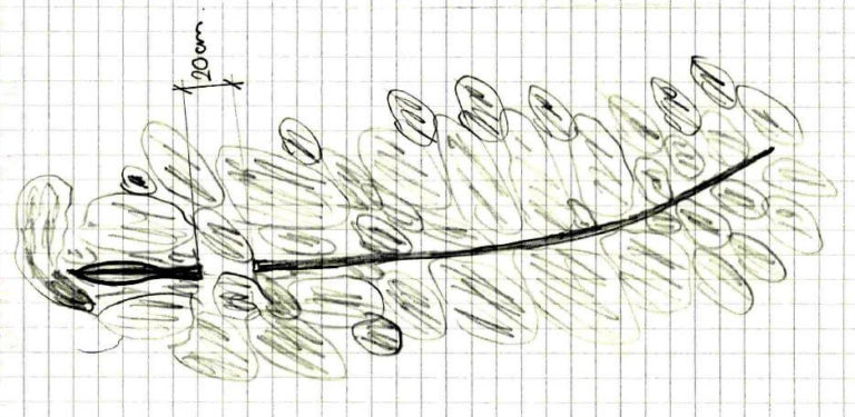 The Viking Spear from the Lendbreen Ice Patch - Secrets of the Ice